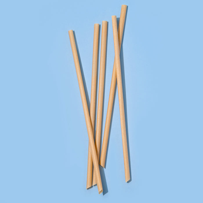 Sugarcane Bagasse Straw – The Crafters Corner PH